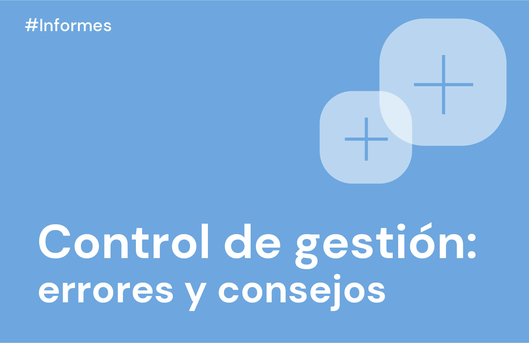 Control de gestión de una empresa - Plika